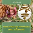PROILGRUBS 10lbs Dried Mealworms, High Protein Chicken and Duck Treat ...
