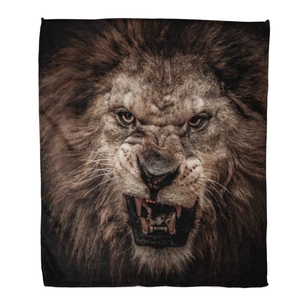 SIDONKU 58x80 inch Super Soft Throw Blanket Roar Shot of Roaring Lion ...