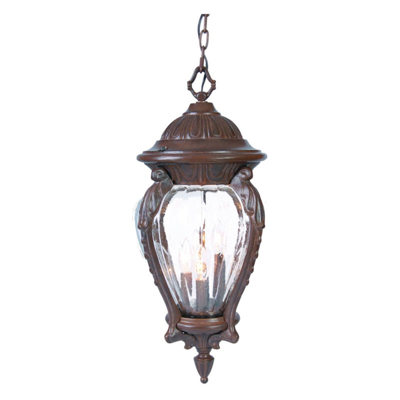 Acclaim Lighting Nottingham Outdoor Hanging Lantern Light Fixture ...