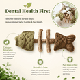 Catnip & Silvervine Chew Toy, Natural Fishbone Texture, for Cat Teeth ...