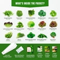 15 Lettuce & Salad Greens Seeds MVR1 Variety Pack Lettuce Garden Salad ...
