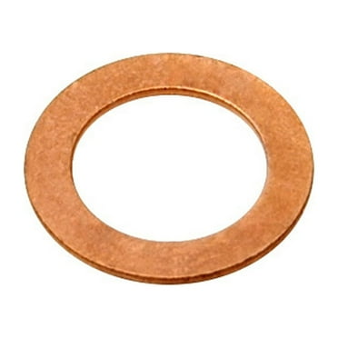 Raybestos R-Line Drum Brake Shoe C Washer - Walmart.com