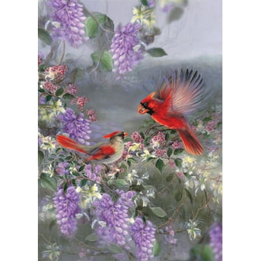 Toland Home Garden Birdwatch House Flag - Walmart.com