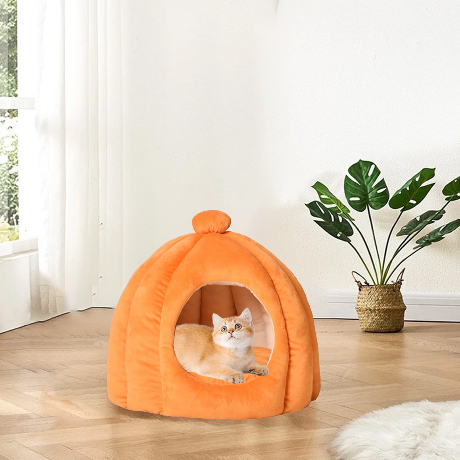 Click here for Boovnll Cat Bed  Pet Beds For Cats  Cute Plush Cat... prices