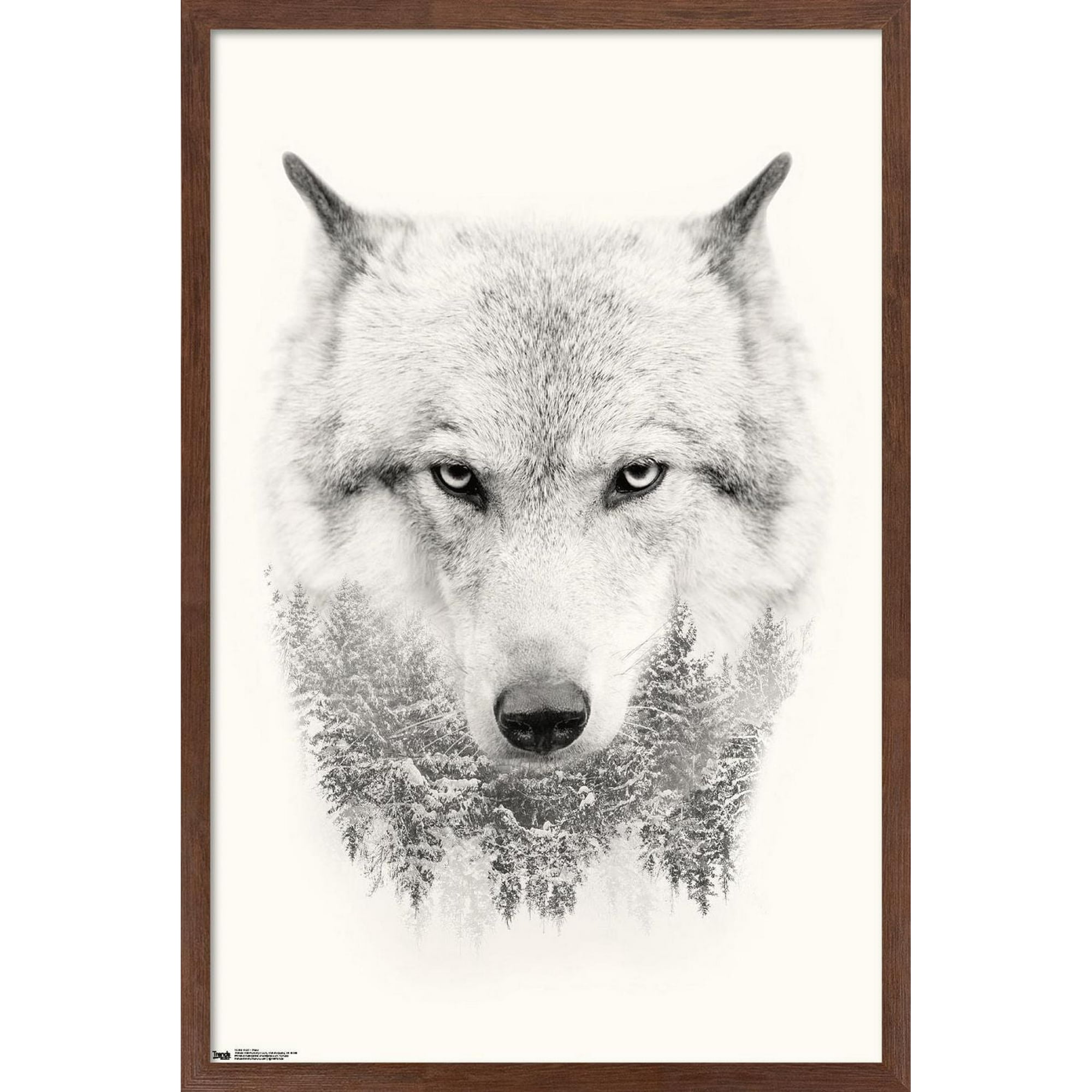 Click here for Trends International Wolf - Trees Wall Poster  22.... prices