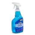 Clorox Foaming Glass Cleaner Spray, Streak-Free, Bleach Free, 32 Ounces ...