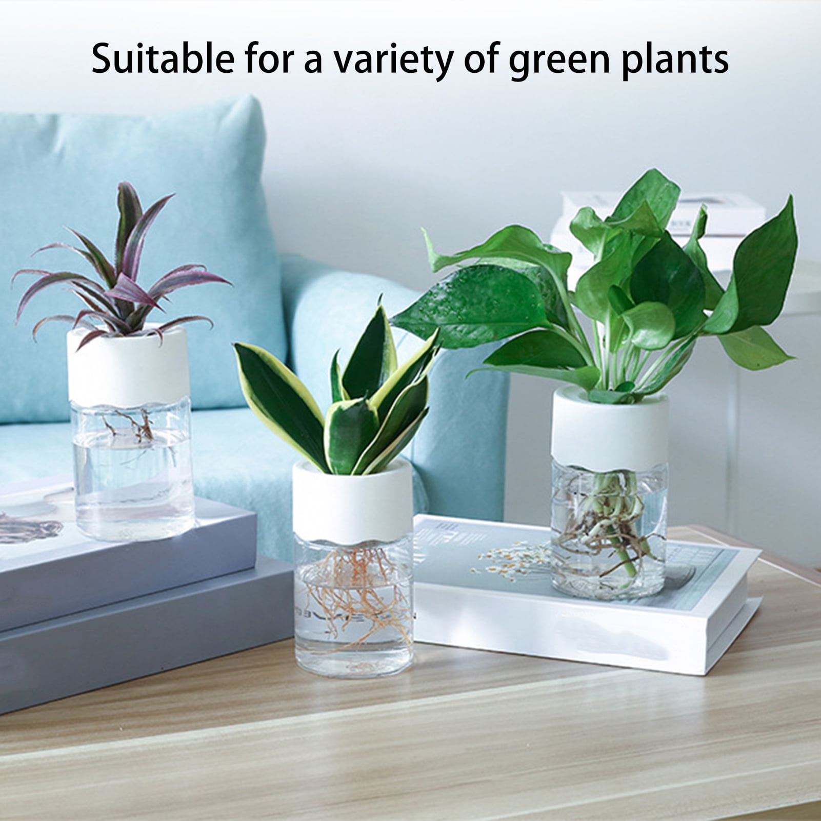 Hesroicy Self-Watering Flower Pot System for Succulents, Vegetables ...