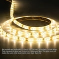 50ft Warm White Led Strip Lights, 12V Waterproof Flexible Led Light ...