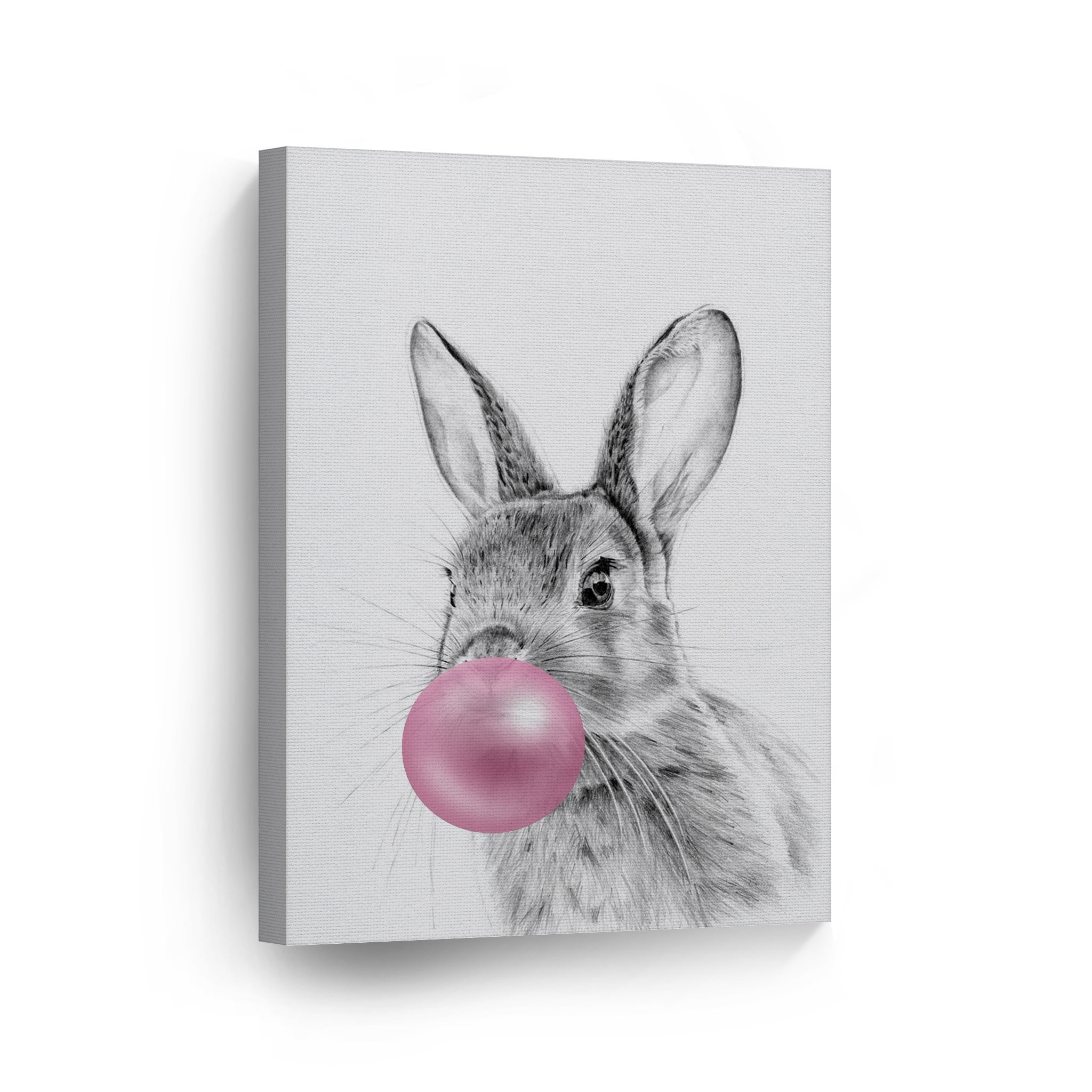 Smiling Bunny Rabbit