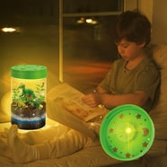 Toys By Nature Venus Fly Trap Kit - Carnivorous Bug Eating Plant for ...