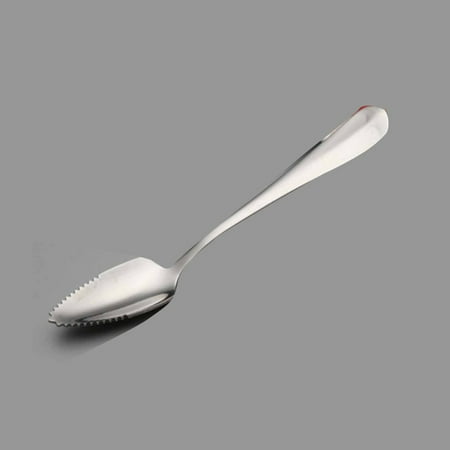 1 PCS Thick Stainless Steel Grapefruit Spoon Dessert Spoon Serrated ...