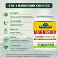 3 pack Magnesium Complex 420mg with Magnesium Glycinate Citrate Malate ...
