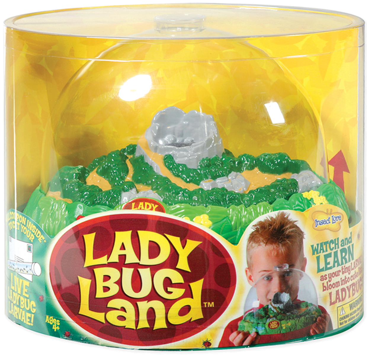 Ladybug Land Kit- | Walmart Canada