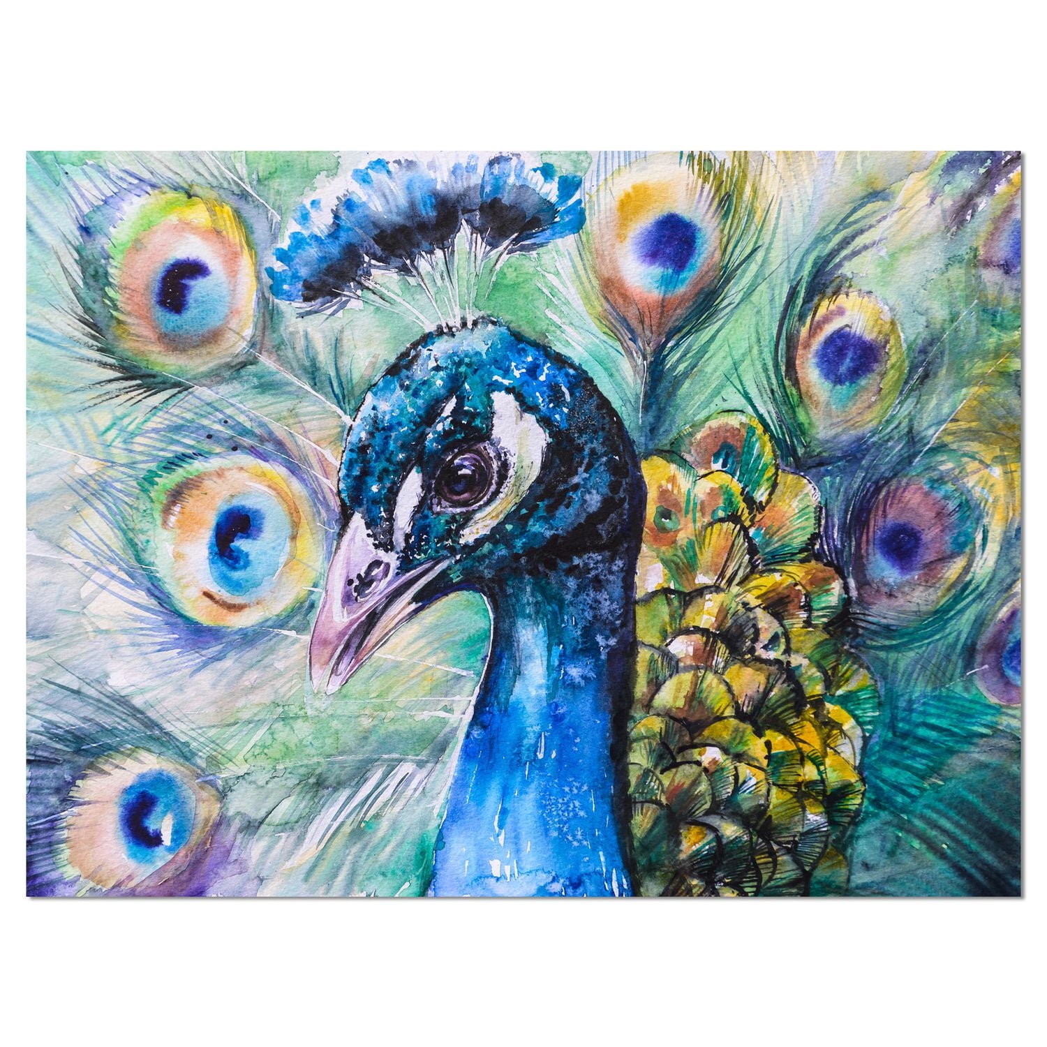 Click here for Designart Design Art Beautiful Peacock Watercolor... prices