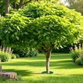 10 Pcs Weed Barrier Mat, 23.6 in / 60 cm Tree Mulch Mat Plant Cover ...