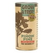 Pinon Pine | Tree Seed Grow Kit | The Jonsteen Company - Walmart.com