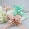 10 Pieces Pull Bow Large Organza Gift Wrapping Pull Bows with Ribbon ...