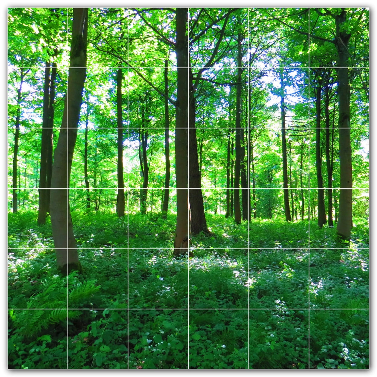 Picture-Tiles.com: Trees Ceramic Tile Wall Mural WAL501045-66XL. 72"W x ...