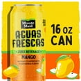 Minute Maid Aguas Frescas Mango Fruit Juice, 16 fl oz Can - Walmart.com