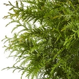 Live Christmas Arborvitae Green Giant Cypress in Decorative Holiday Pot ...