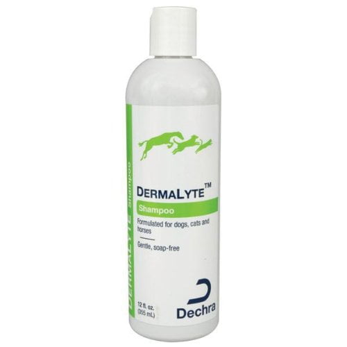 Dechra DermaLyte Shampoo, 12-Ounce - Walmart.com