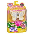 Little Live Pets Lil' Butterfly, Interactive Toy, Styles May Vary ...