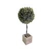 Regency International Topiary Flocked Boxwood Single Ball Topiary in ...