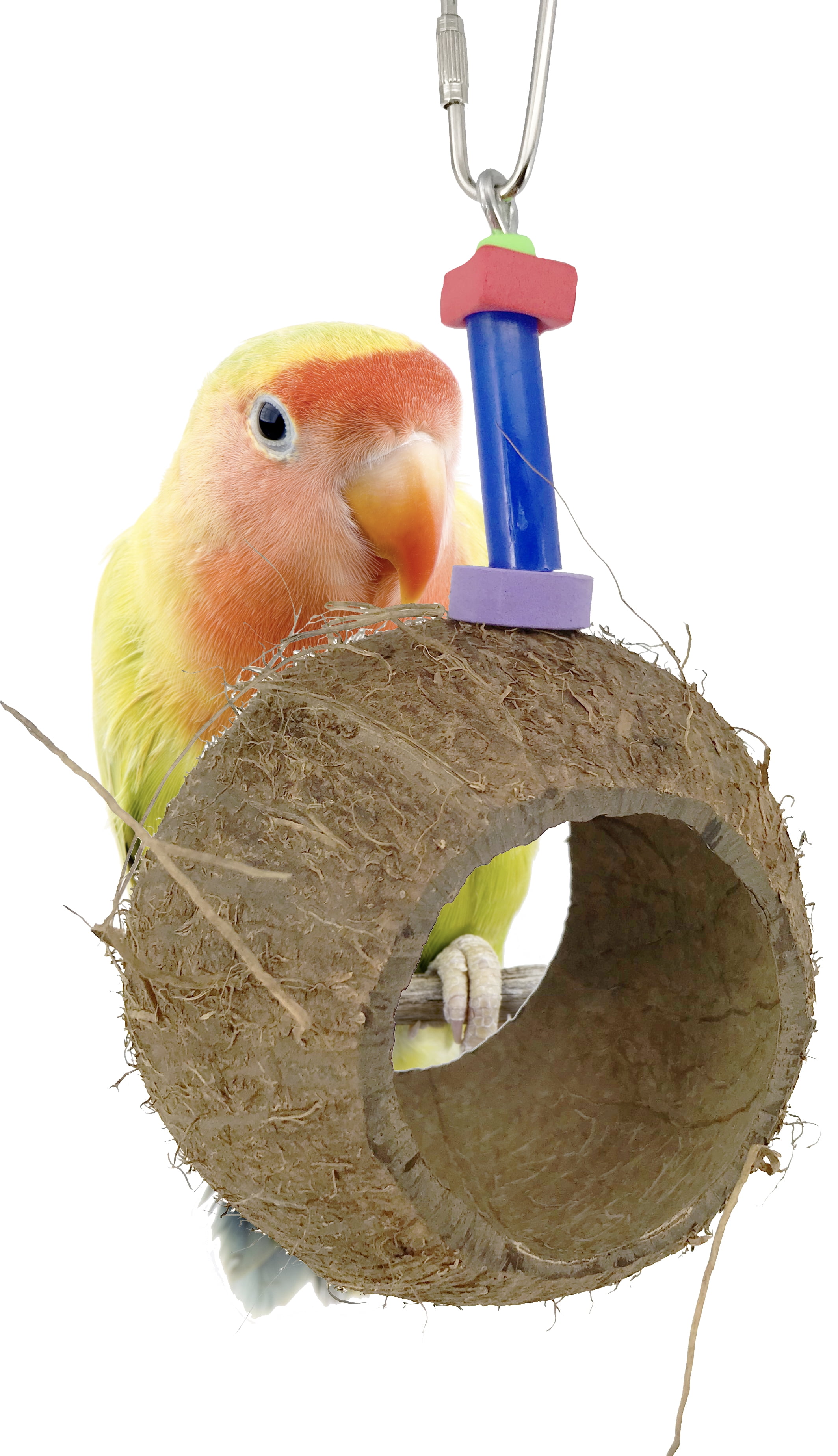 Bonka Bird Toys 1232 Coco Nest Bird Toy. - Walmart.com