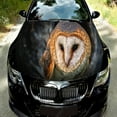 FPWNGL Animal - Barn owl Car Hood Vinyl Stickers Wrap Vinyl Film Engine ...