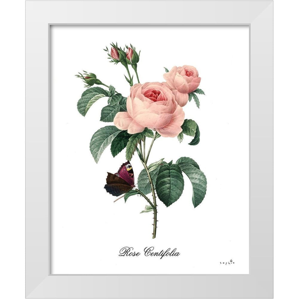 Sophie 6 26x31 White Modern Wood Framed Museum Art Print Titled - Rose ...