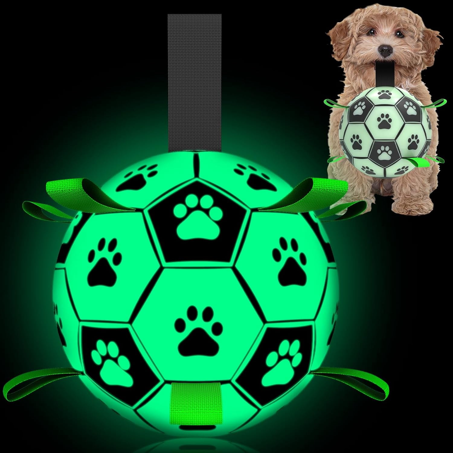 Pelota para perro iluminada (8 pulgadas), pelota de fútbol interactiva ...