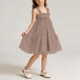 Babcutegg Solid Color Sleeveless Round Neck Mesh Dress With Adjustable ...