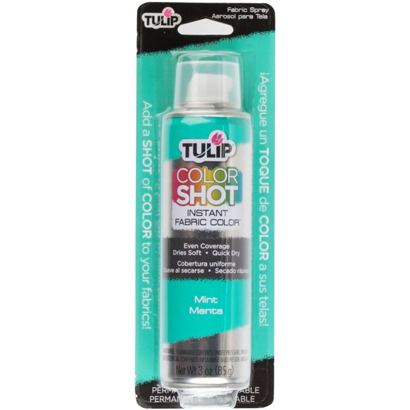 Tulip Colorshot Instant Fabric Color Spray 3oz-mint - Walmart.com