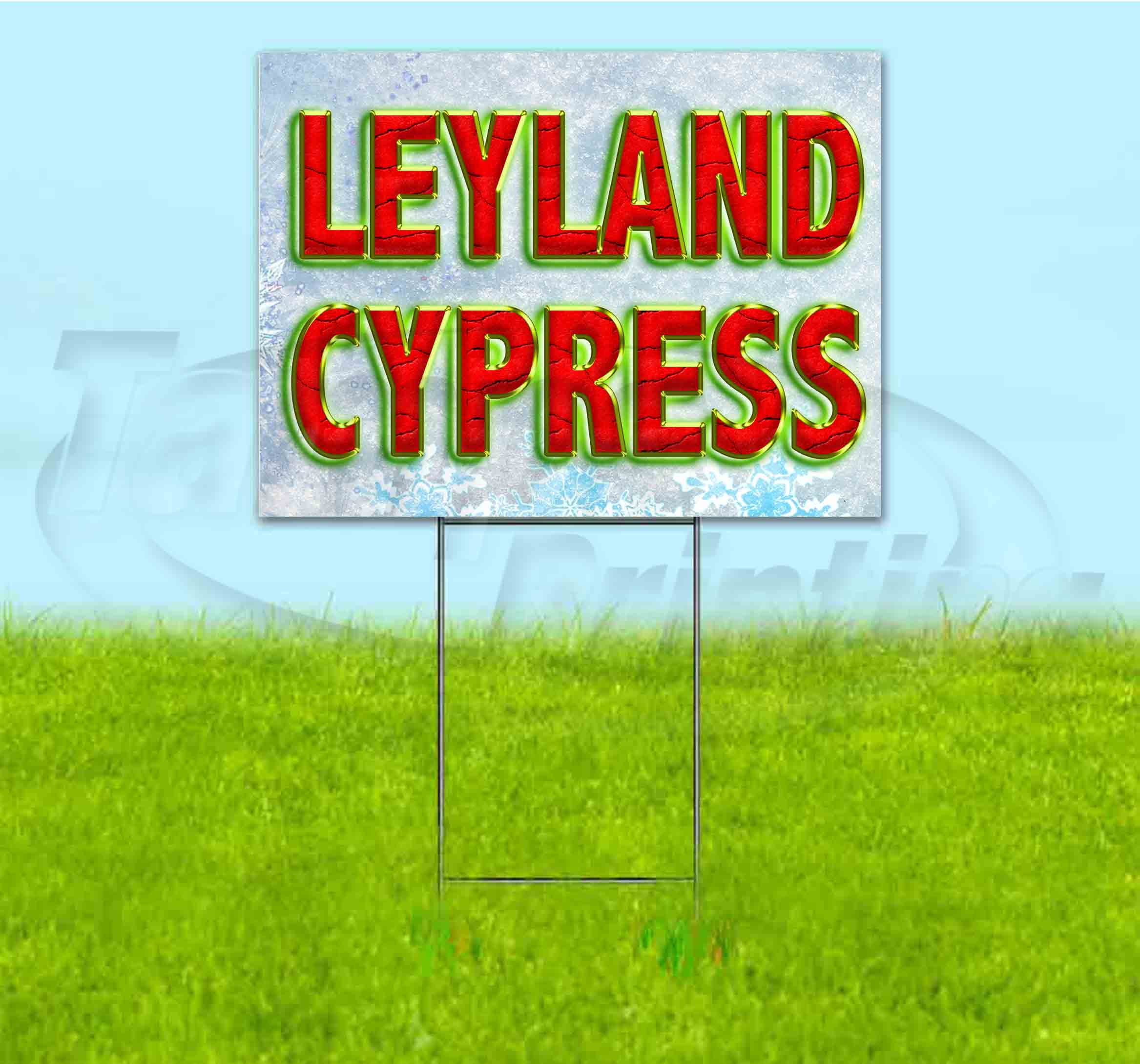 Leyland Cypress (18" x 24") Yard Sign, Includes Metal Step Stake ...