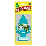 Little Trees Rainforest Mist Air Freshener, (Pack of 24) - Walmart.com