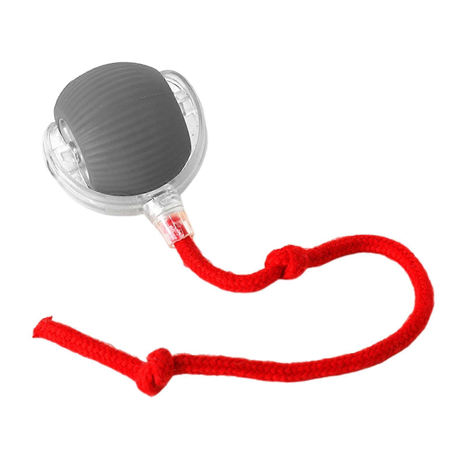 Click here for Brush Cat Rolling Ball Automatic Obstacle Avoidanc... prices