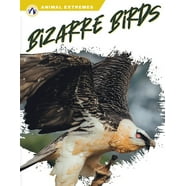 Crazy Bird Stories : Prepare yourself for Strange Birds Behaving in ...