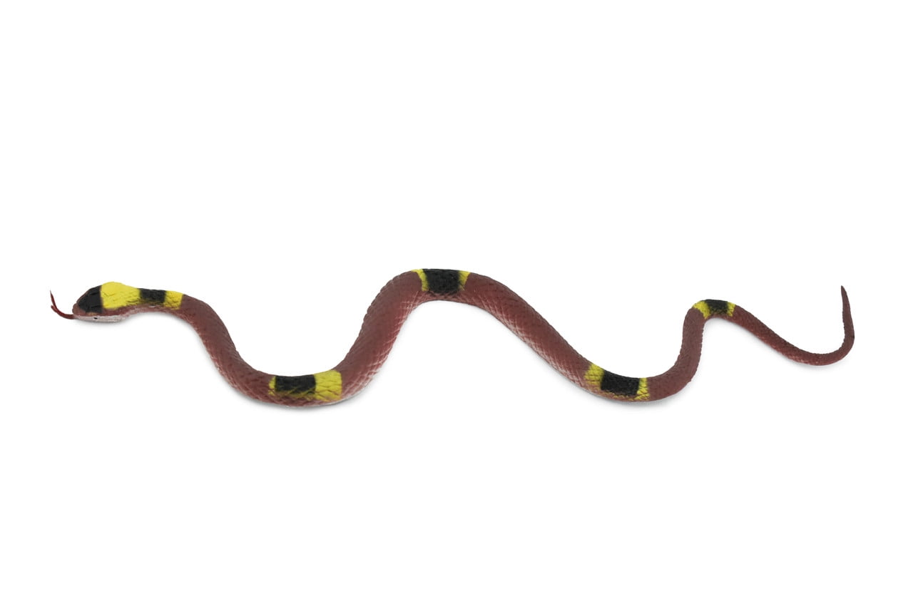 Snake, Coral snake, Texas, Rubber Reptile, Educational, Realistic Hand ...