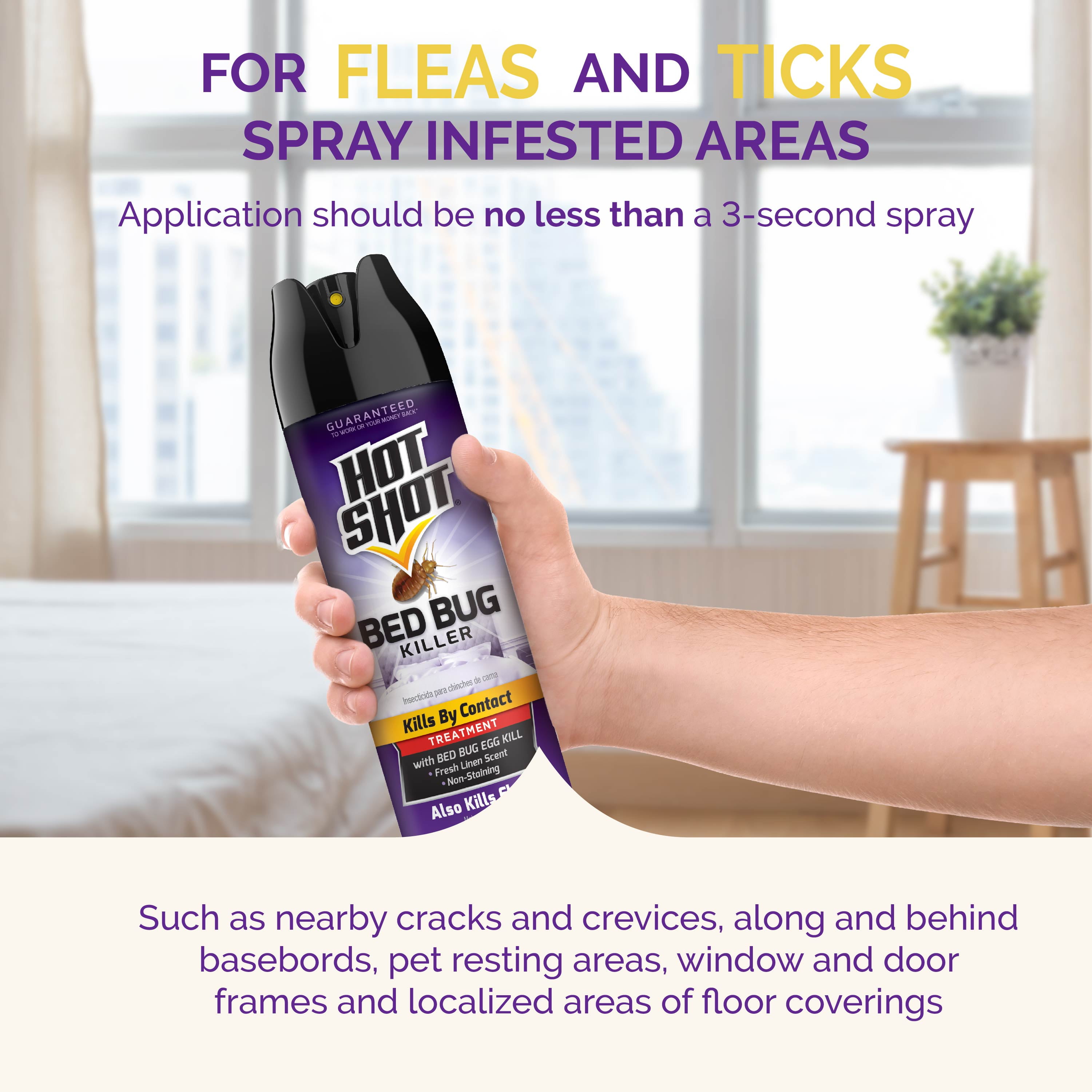 Hot Shot Bed Bug Treatment