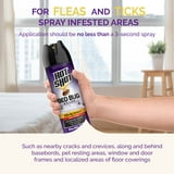 Hot Shot Bed Bug Killer Aerosol, Bed Bug Treatment, Non-Staining, 17.5 ...