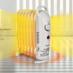 Ecotronic 700W Oil Filled Radiator Heater with Thermostat, Overheat ...