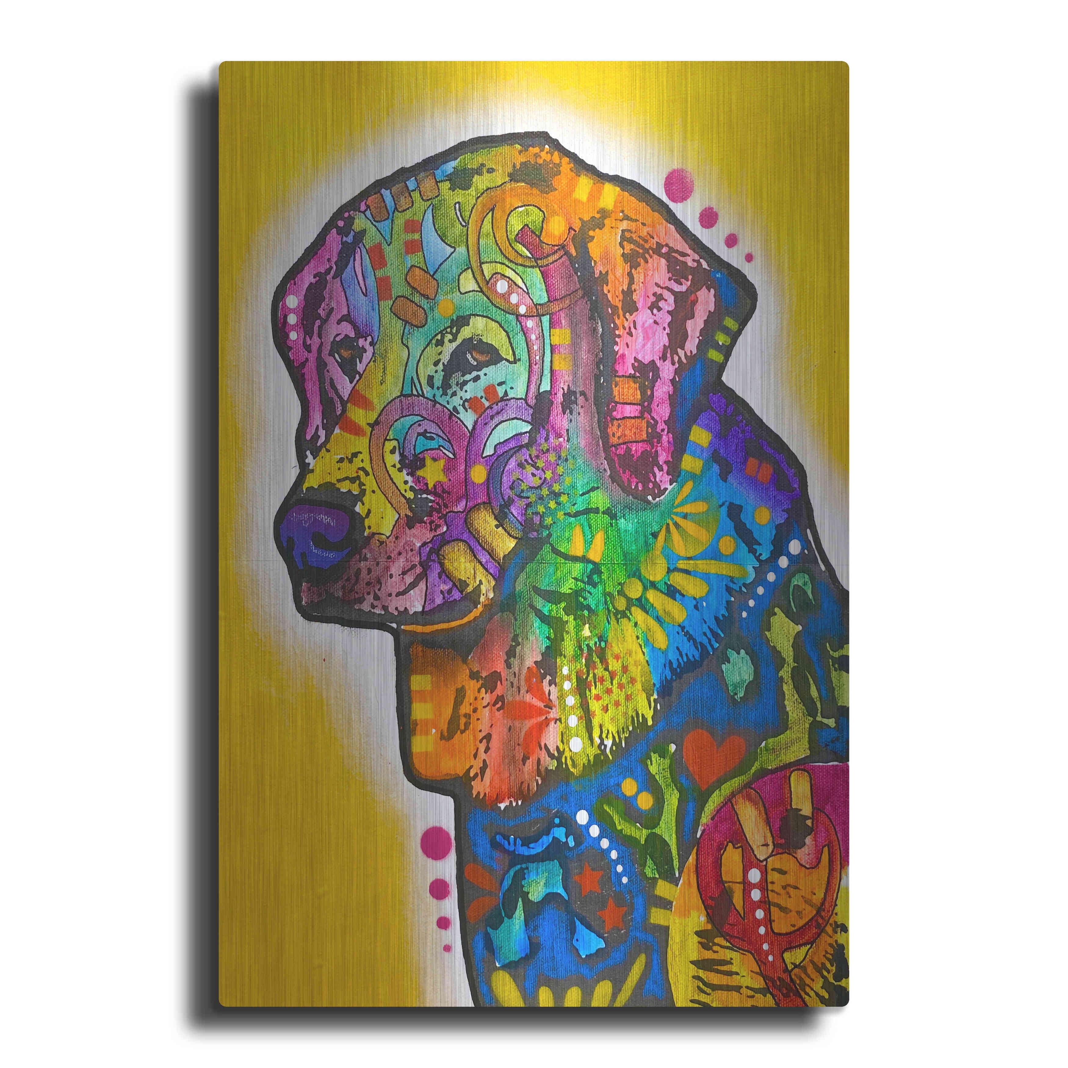 Luxe Metal Art 'I'm Sorry I Boofed' by Dean Russo, Metal Wall Art, 16 ...