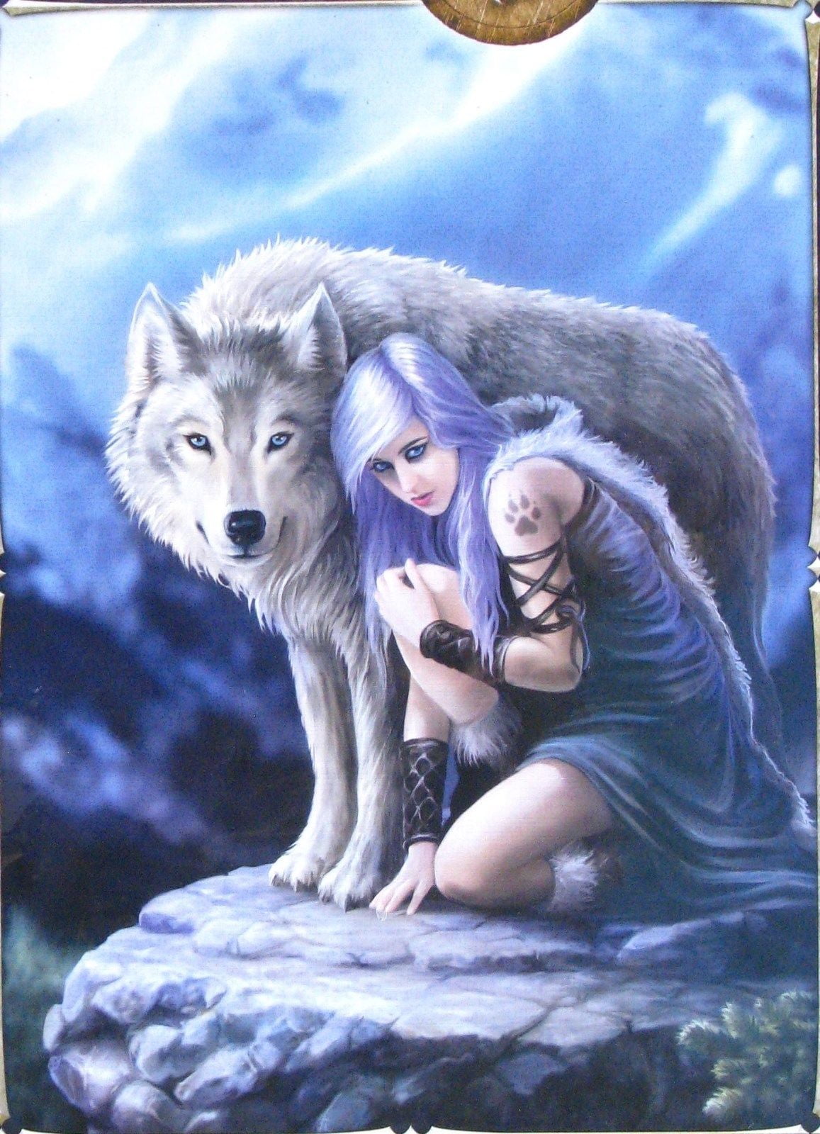 Clemontoni Anne Stokes Protector 1000 pc Jigsaw Puzzle Fantasy Wolf ...