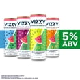 Vizzy Watermelon Hard Seltzer, Variety Pack, 12 Pack, 12 fl oz Aluminum ...