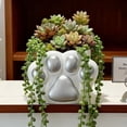 CaraMart Modern Cat Paw Shaped Flower Pot Decorative Vase for Home ...