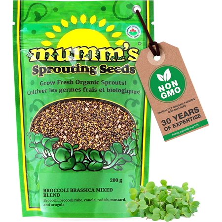 Mumm's Sprouting Seeds - Broccoli Brassica Mixed Blend - 200 GR ...
