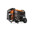 Firman H08051 10,000/8,000 Watt Dual Fuel Electric Start Generator ...