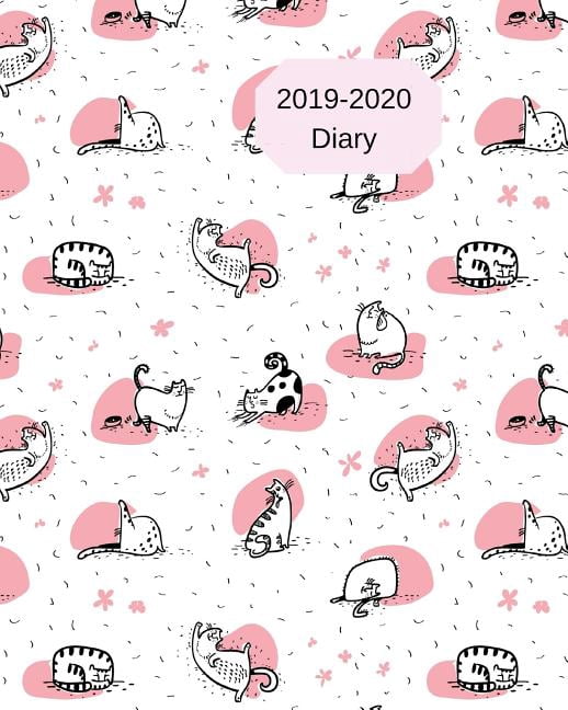 2019-2020 Diary : 8x10 Size Day to a Page Academic Year Diary Planner ...