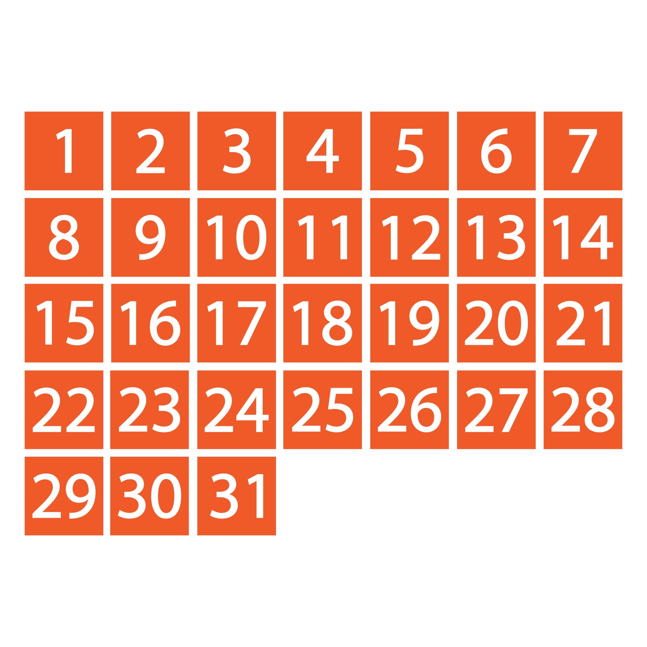 Calendar Date Magnets by DCM Solutions (Burnt Orange Inverted, 0.75"x0 ...