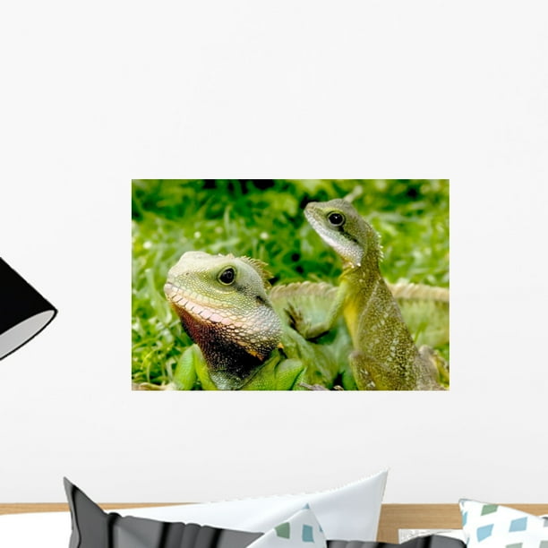 Lizard Wall Mural Decal Sticker, Wallmonkeys Peel & Stick Vinyl Graphic ...